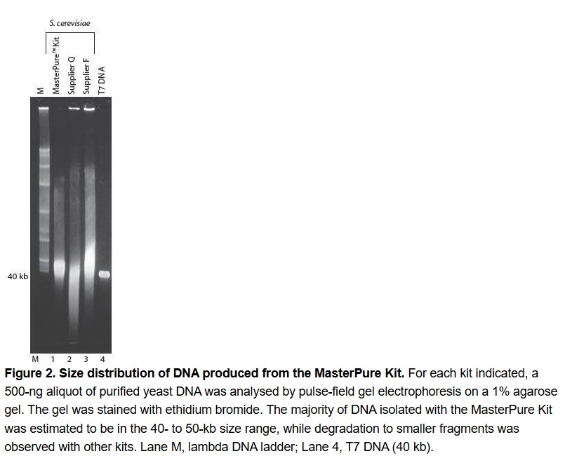 MasterPure™ Yeast DNA Purification Kit - Gene Target Solutions